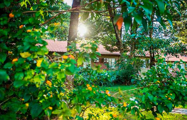 Área Verde | Hotel Pousada do Bosque